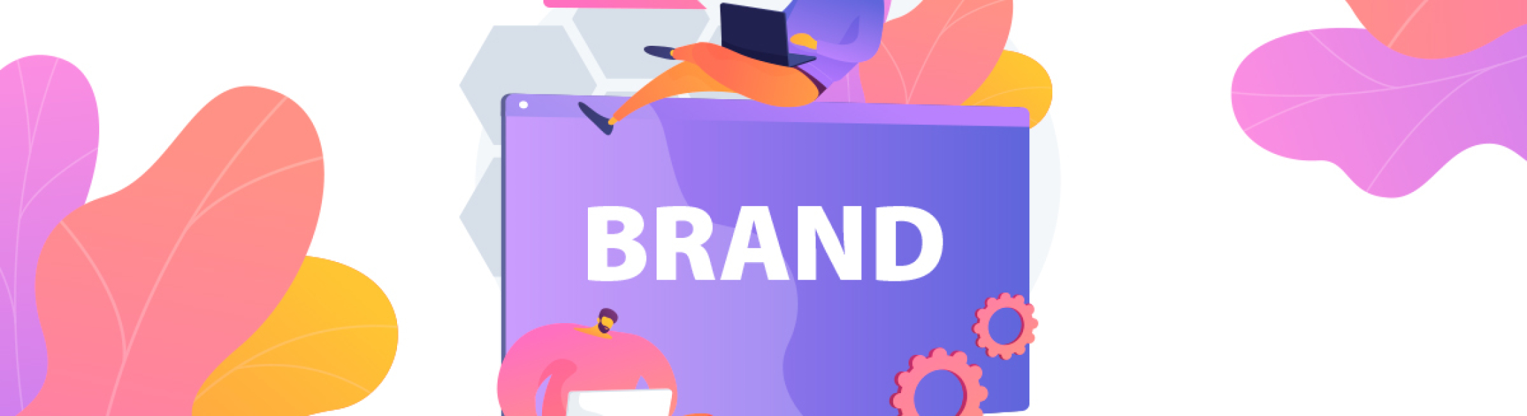 TRANSPARENT BRANDS - Bindiva