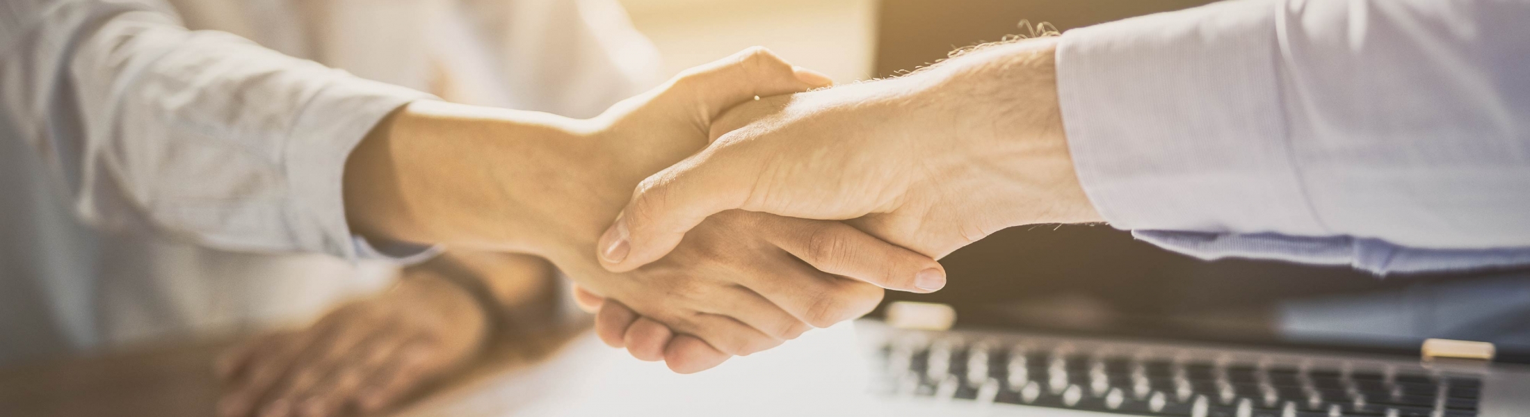 Clientes reales y clientes potenciales - Bindiva